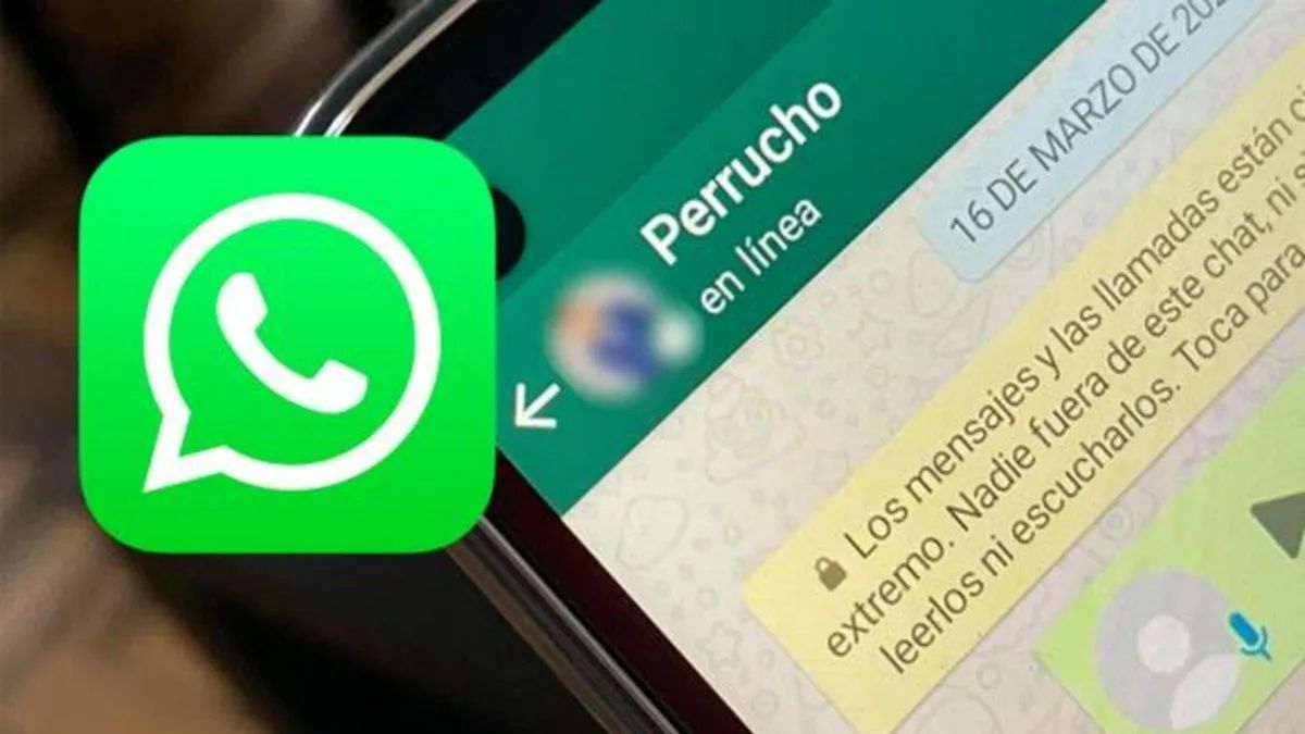 WhatsApp: el truco definitivo para leer los mensajes sin aparecer en línea