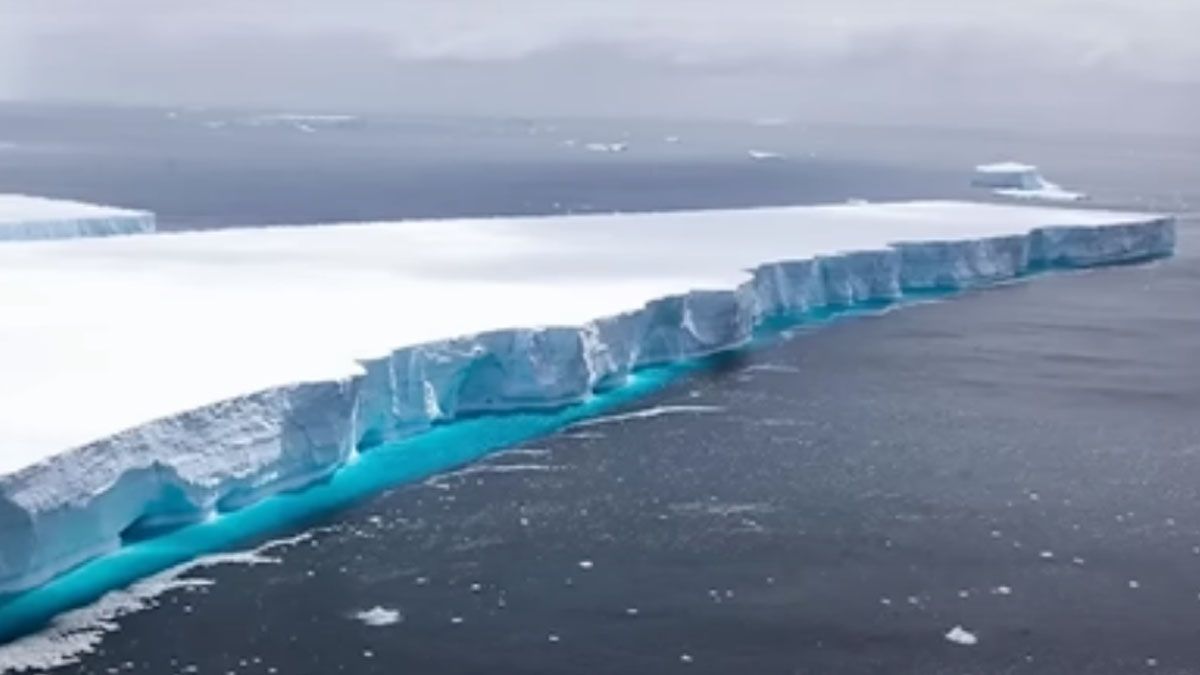 A23a: el iceberg que es 100 metros más alto que la torre Eiffel navega ...