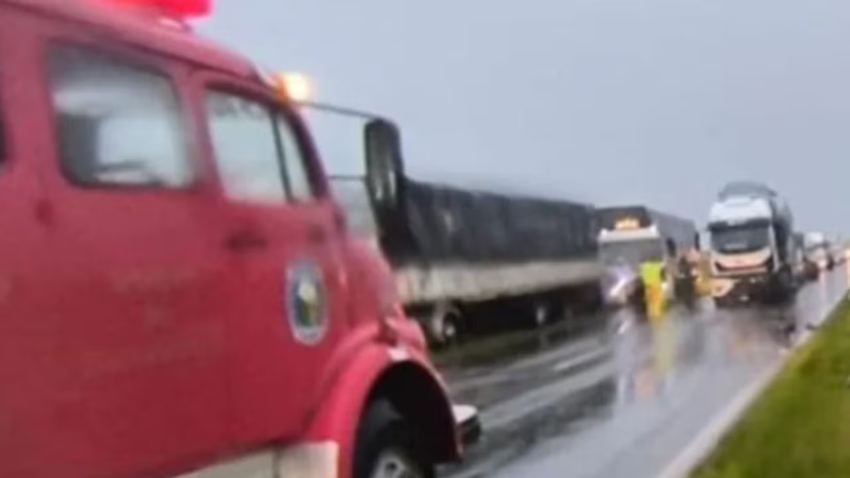 Conmoción por la muerte de Ramón Francisco Olmos: intentó esquivar un ...