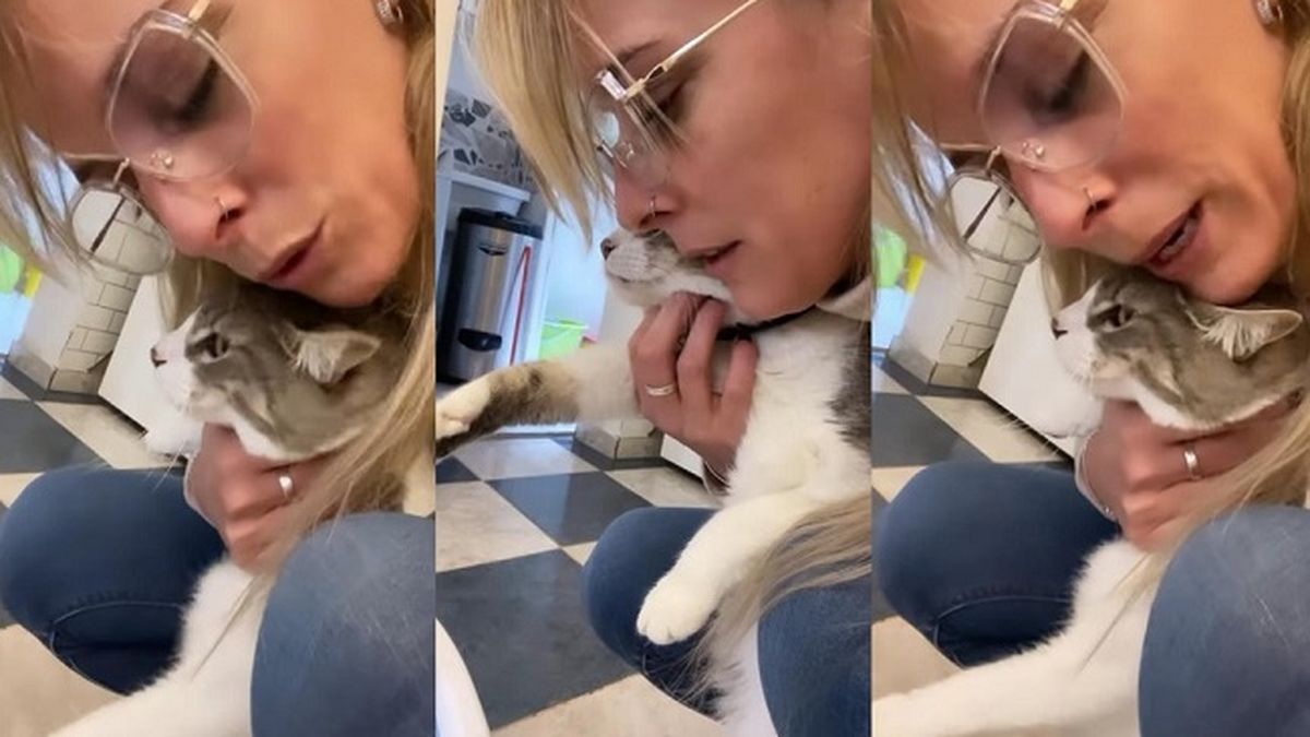 Dani La Chepi atacada por su mascota Dani La Chepi atacada por su mascota