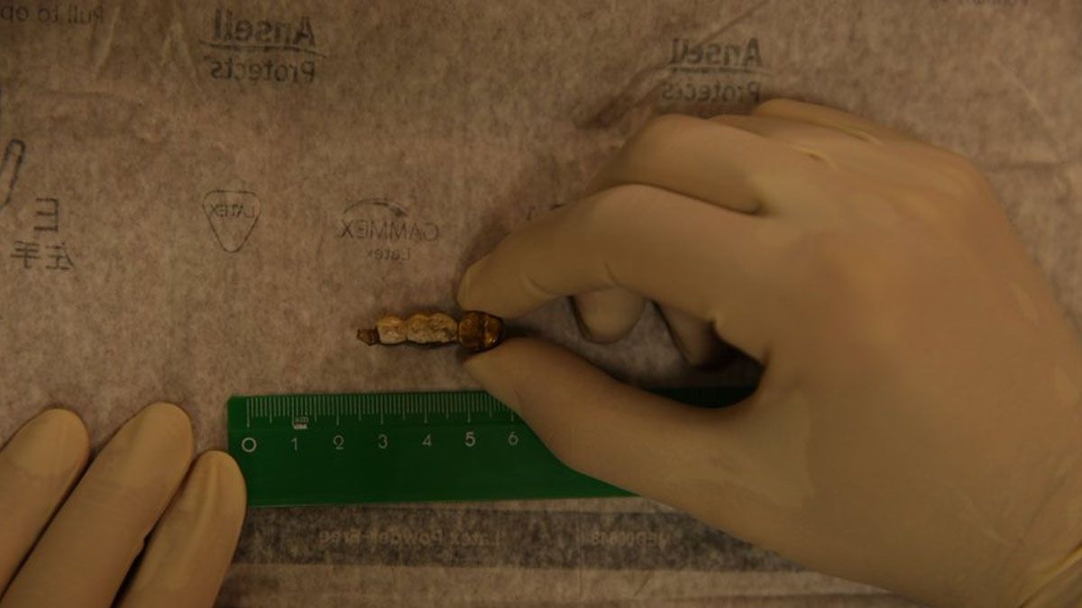 El misterio de los restos de Adolf Hitler, resuelto por una cajita ...