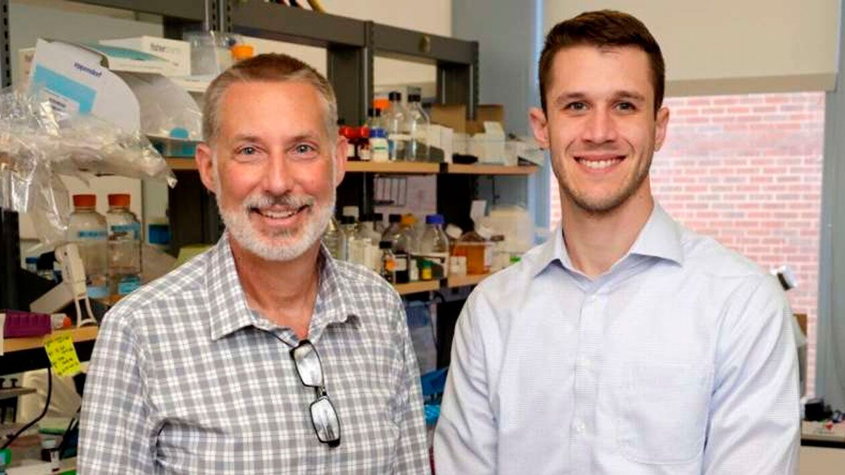 Fiebre: ¿una aliada o un riesgo para tu sistema inmune?