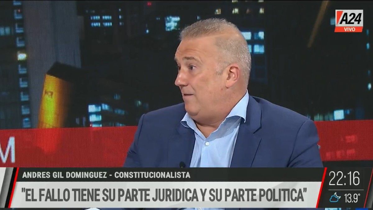 Andrés Gil Domínguez sobre la decisión de la Corte: El fallo no ...