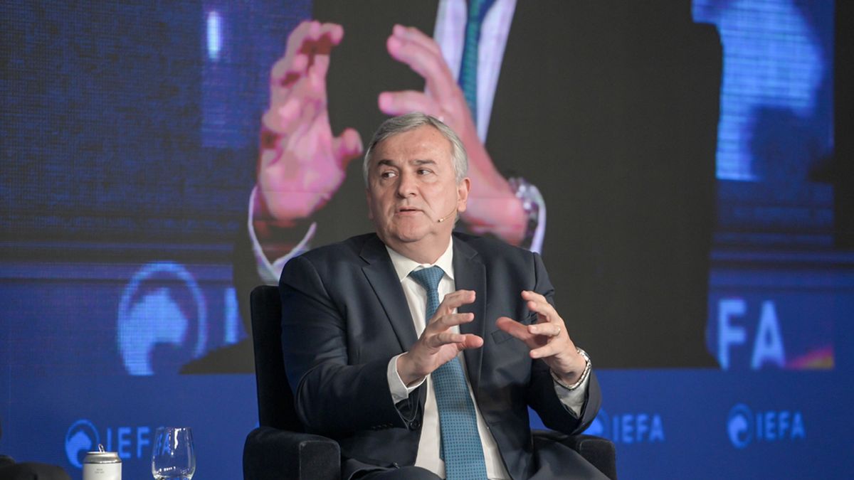 Gerardo Morales en IEFA: Argentina puede exportar en 4 años 10.000 ...