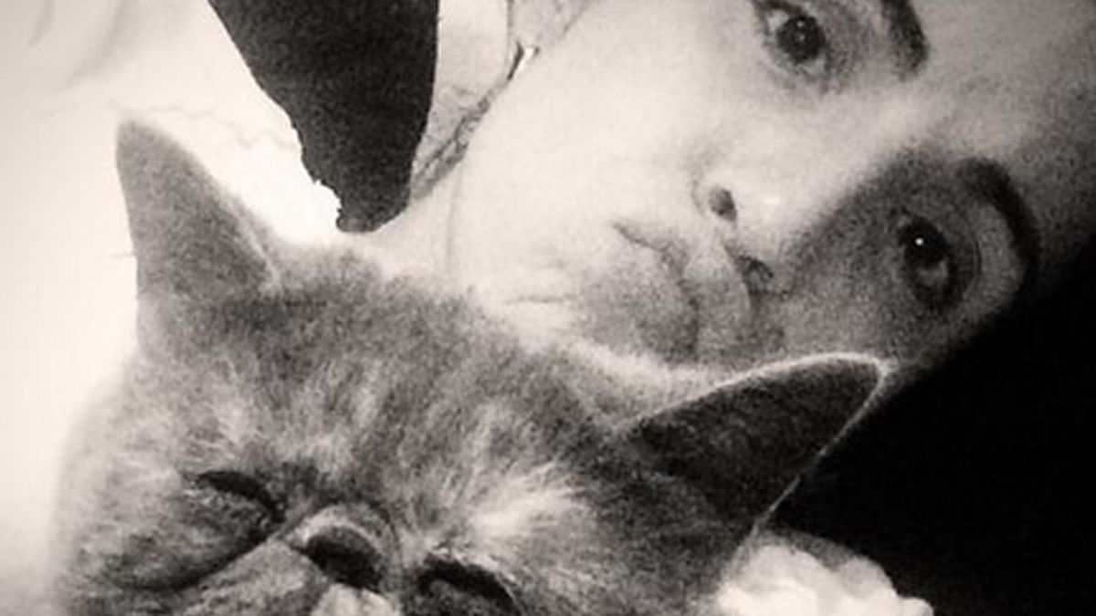 La tristeza de Gianinna Maradona: murió su gatita