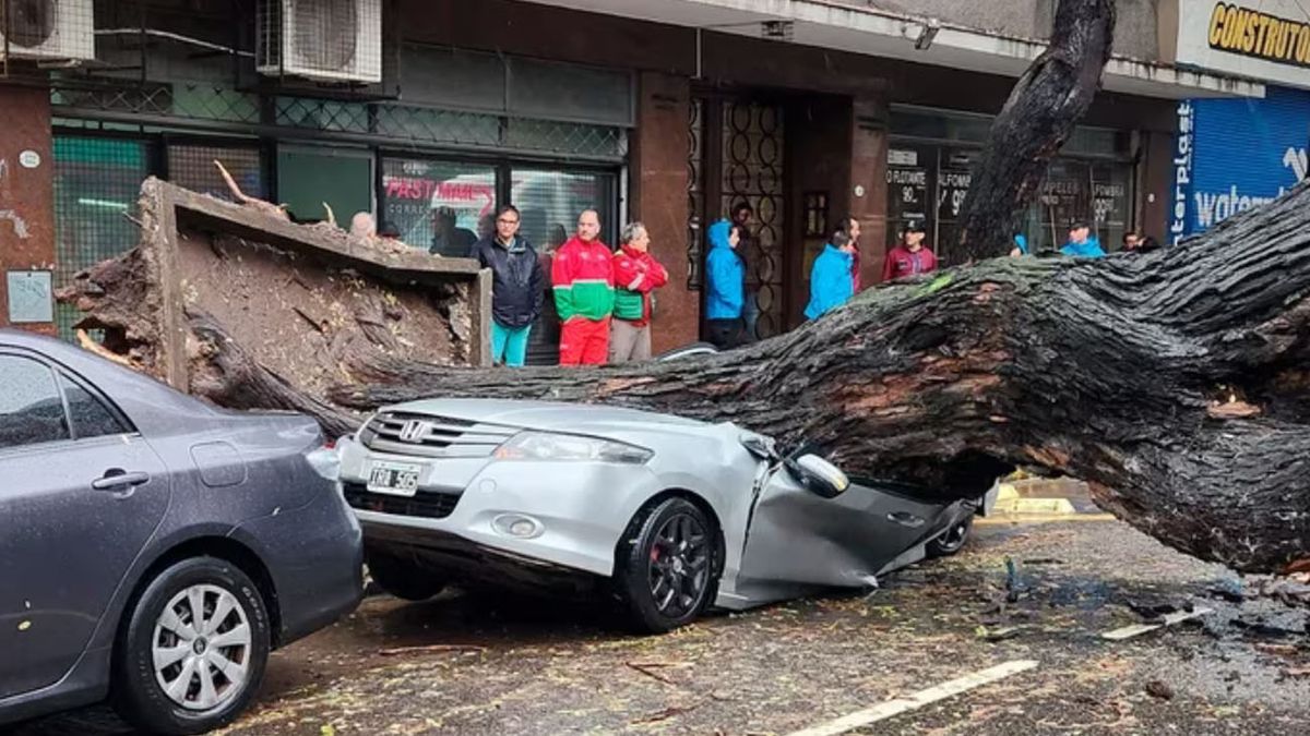 SUBSIDIO por el TEMPORAL: cuáles son los REQUISITOS y hasta cuándo hay ...