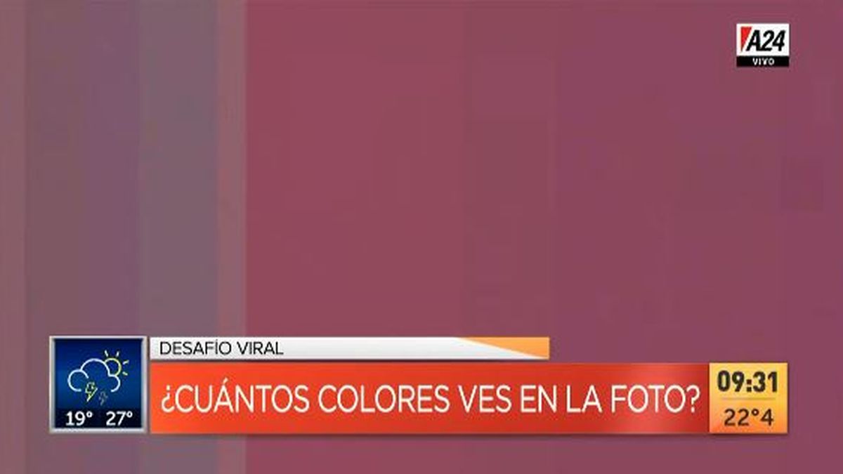 El nuevo desafío viral: ¿cuántos colores ves en la foto?