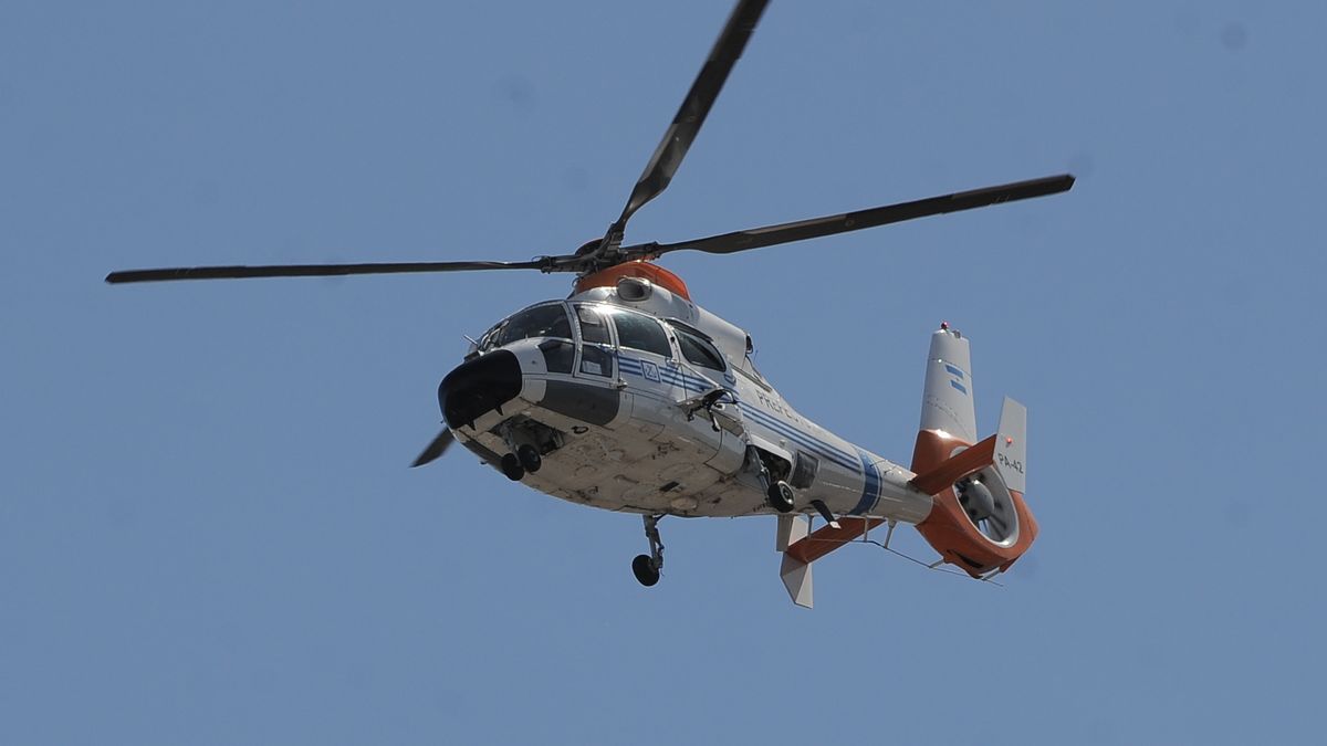 La Selección Argentina volvió al predio de AFA en helicópteros y los ...