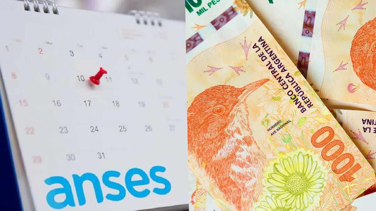 ANSES confirmó el CALENDARIO COMPLETO de AGOSTO: cuándo cobran jubilados y AUH