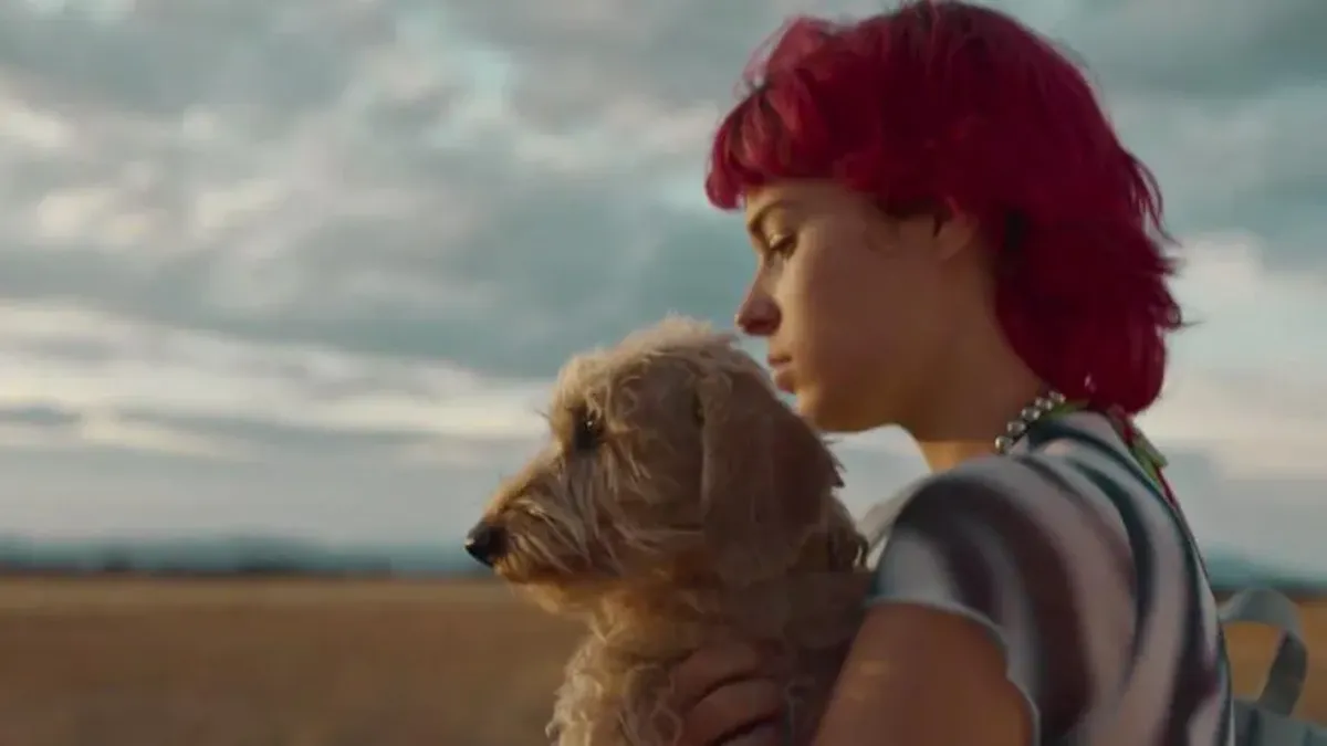 Netflix: esta es la película recién estrenada que bate todos los récords