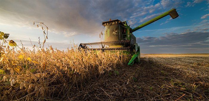 La cosecha de soja es la más rápida de los últimos nueve años
