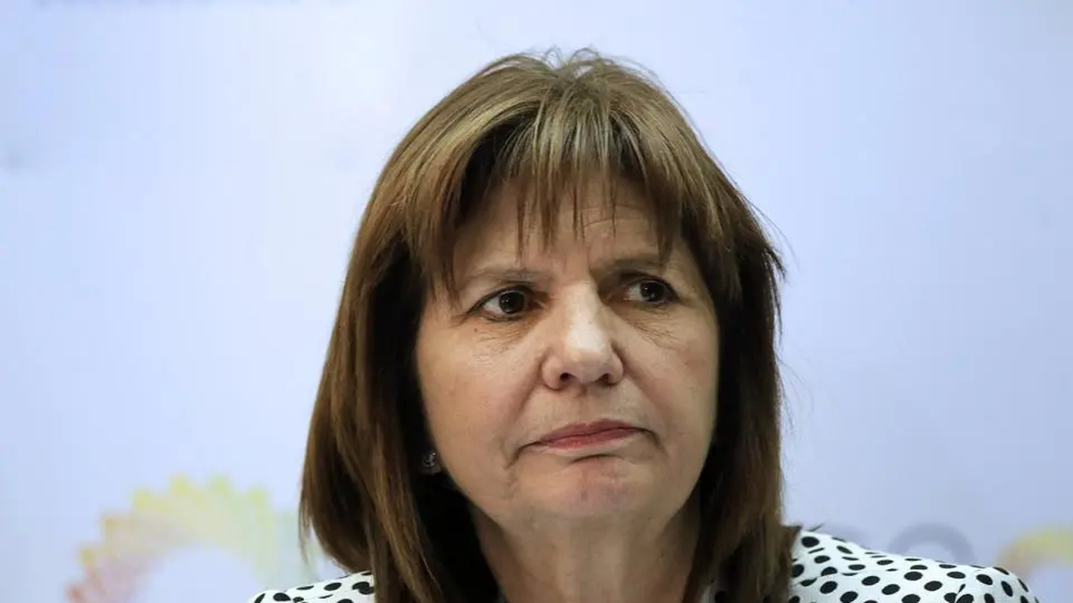 Con una polémica frase, Patricia Bullrich rechazó el proyecto para ...
