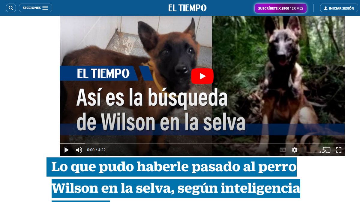 Las teorías de la Inteligencia Artificial sobre el desenlace del perro ...