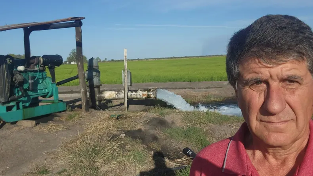 La historia de los Paoloni: la Pyme arrocera con larga tradición en ...