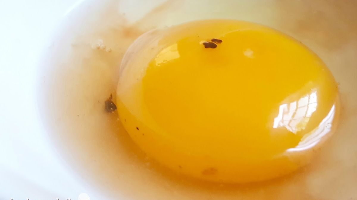 ¿Qué significa el PUNTO ROJO en el interior del HUEVO?