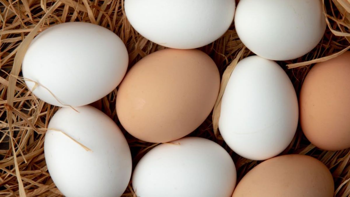 Huevos blancos o marrones: ¿cuál es mejor o solo es un mito?