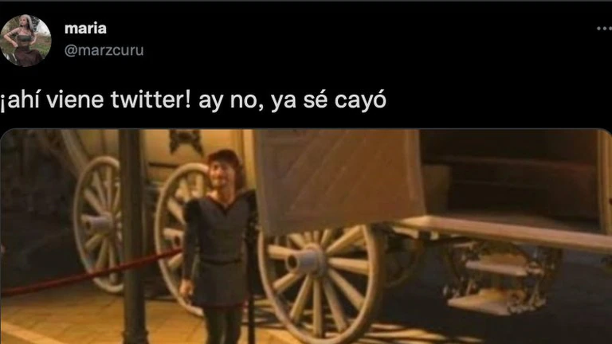 Se cayó Twitter: los mejores memes