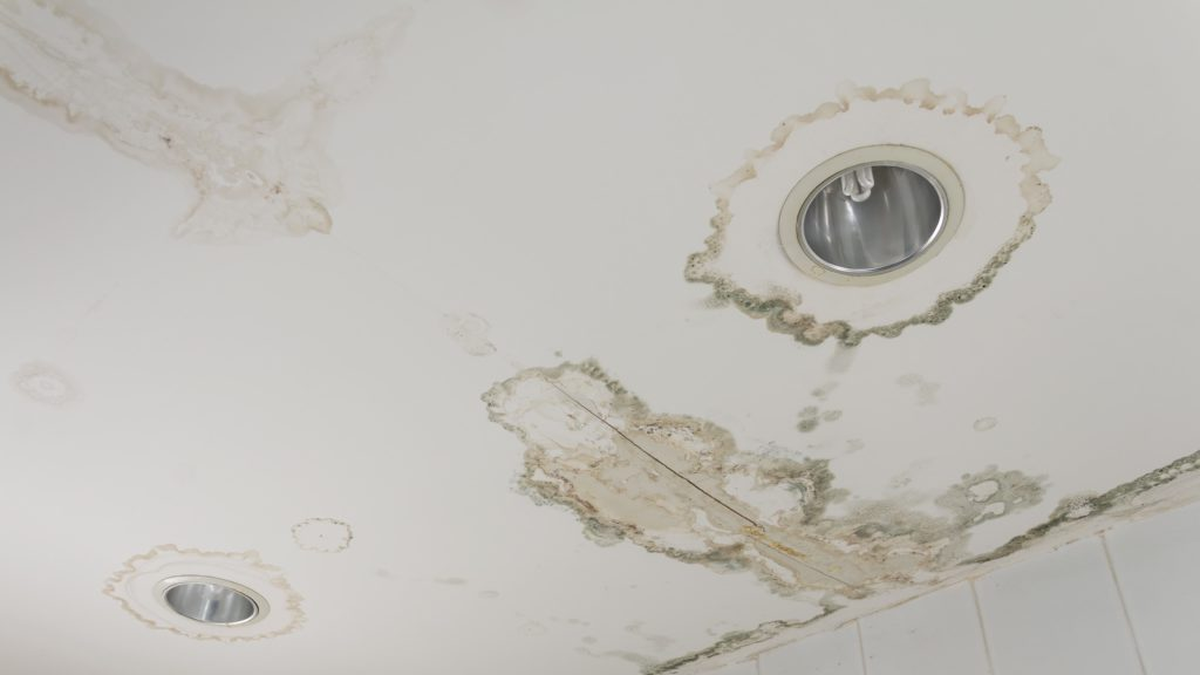 Soluciones para filtraciones de agua en techos