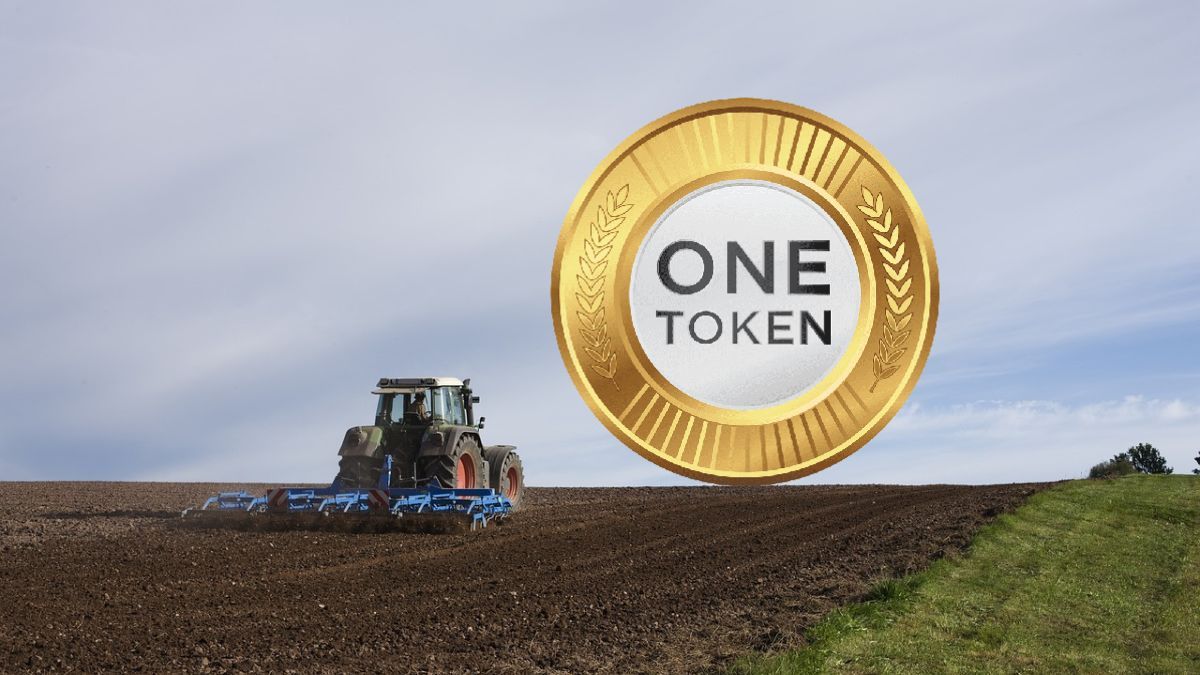 Tokenización de commodities: una oportunidad para impulsar el mercado y ...