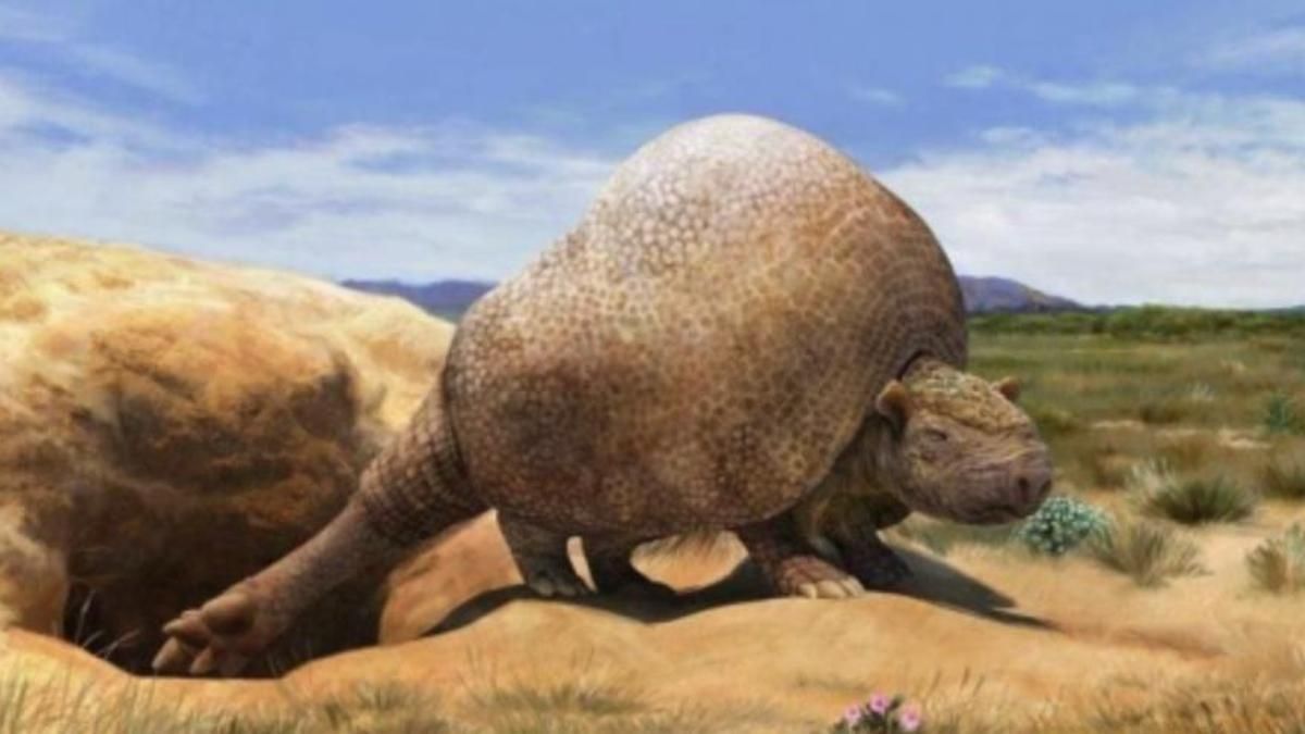 Dos niños encontraron restos inéditos de un gliptodonte en una playa de ...