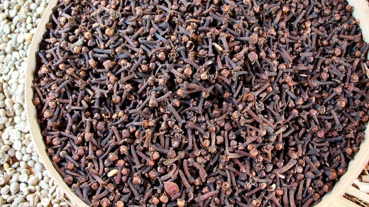 Té de clavo de olor: 12 beneficios que cambiarán tu vida