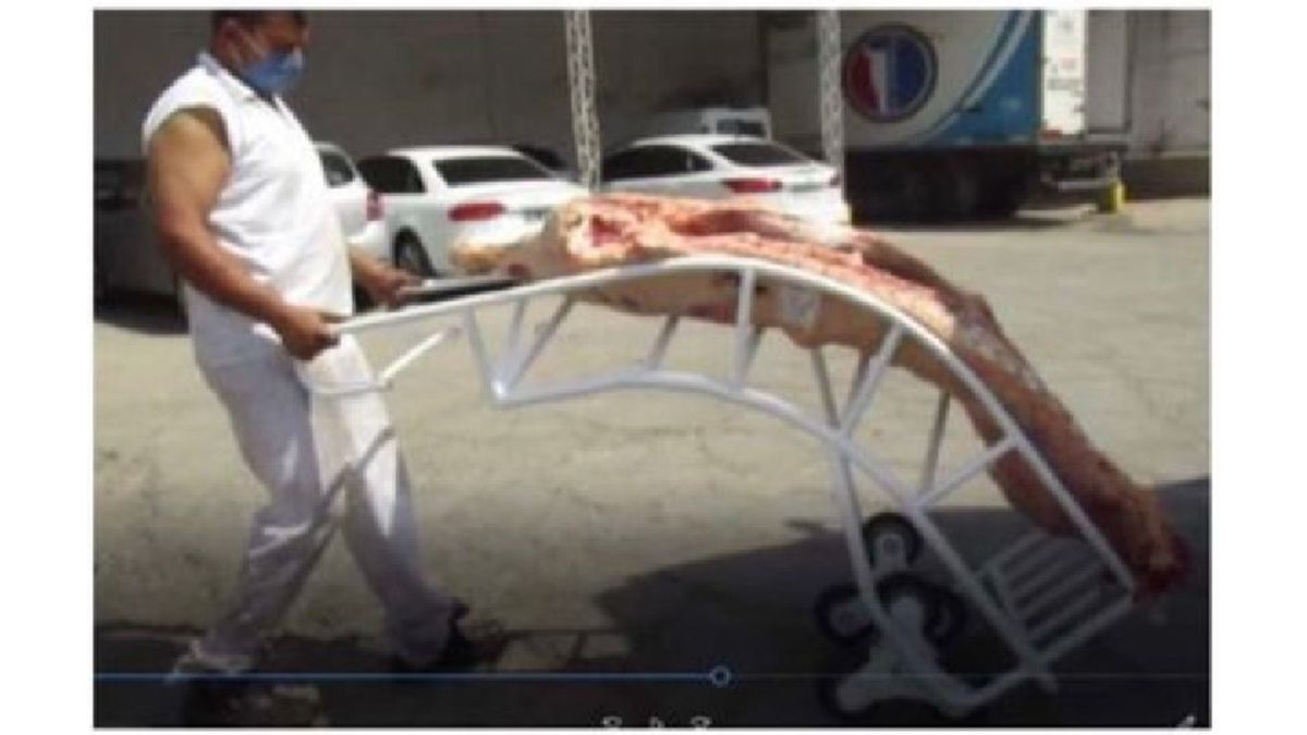 El fin de la media res: cómo son los medios mecánicos que impulsan los ...