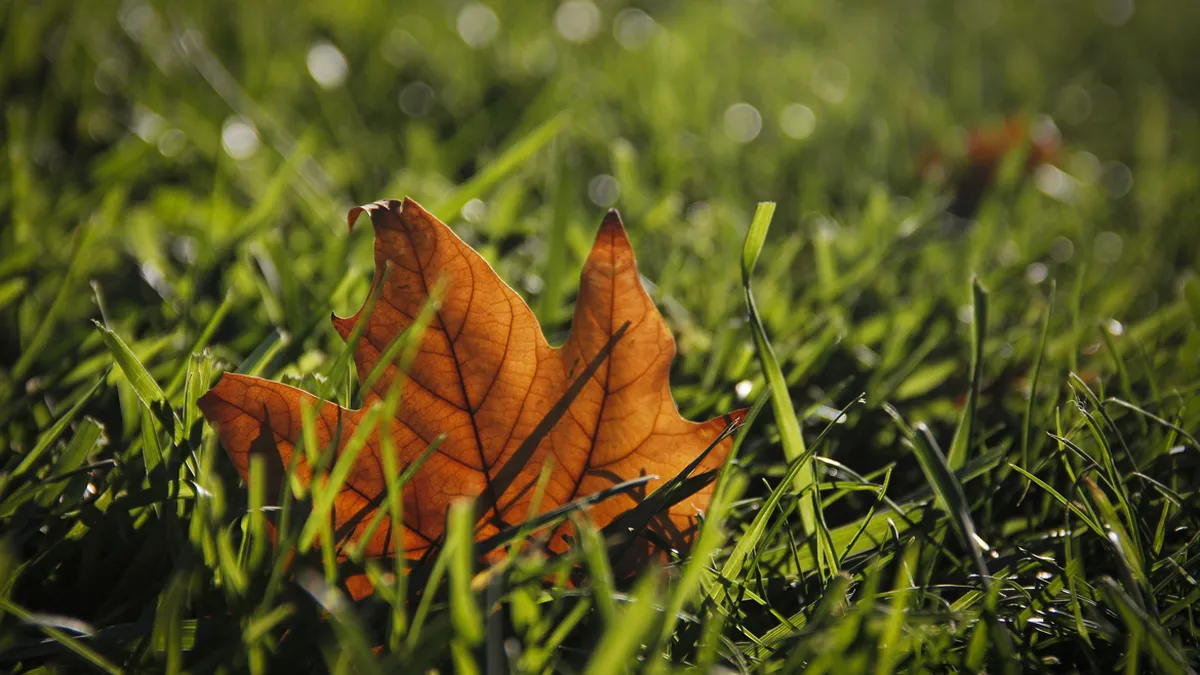 El tiempo en Argentina: el otoño llegará con un fuerte frío polar y con ...
