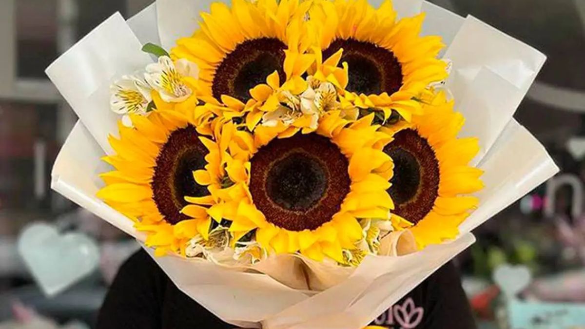 Día de la Primavera: por qué se regalan flores amarillas el 21 de ...