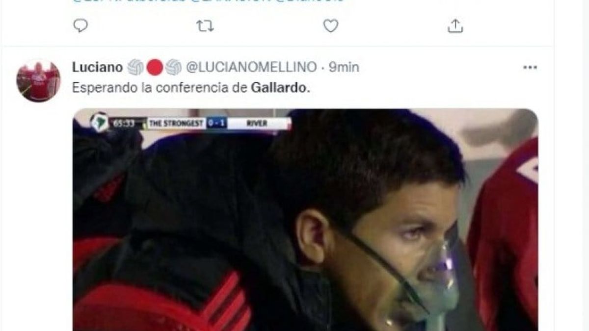 Marcelo Gallardo se queda en River y estallaron los memes