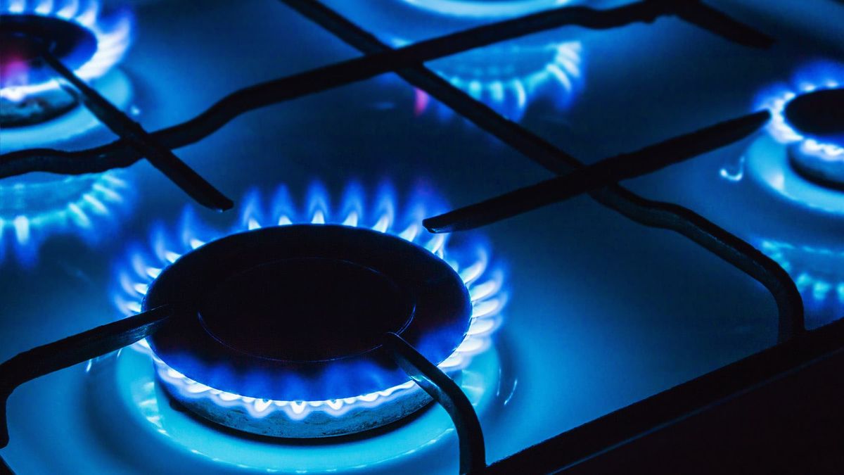 Gas: cuáles son las opciones de subsidios que presentó la Secretaría de ...