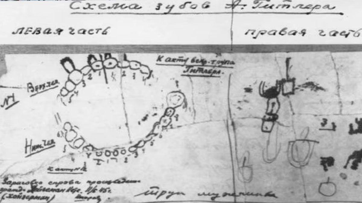 El misterio de los restos de Adolf Hitler, resuelto por una cajita ...