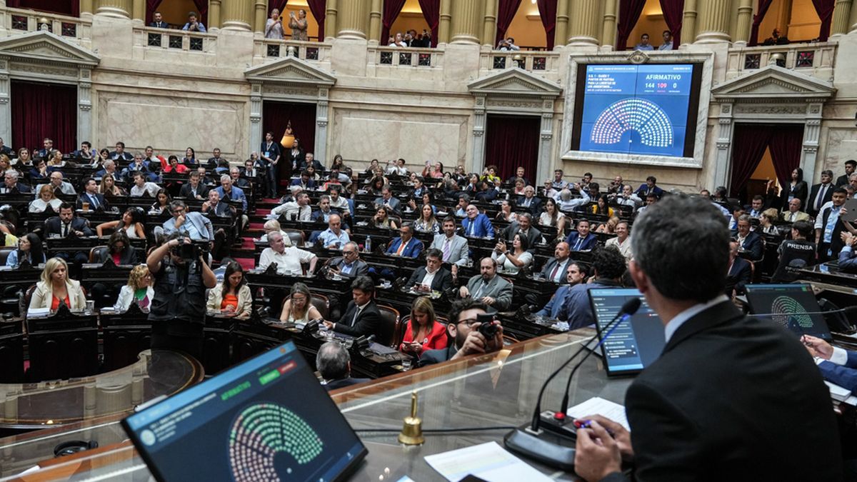 Debate De La Ley Bases En La Cámara De Diputados Qué Son Las