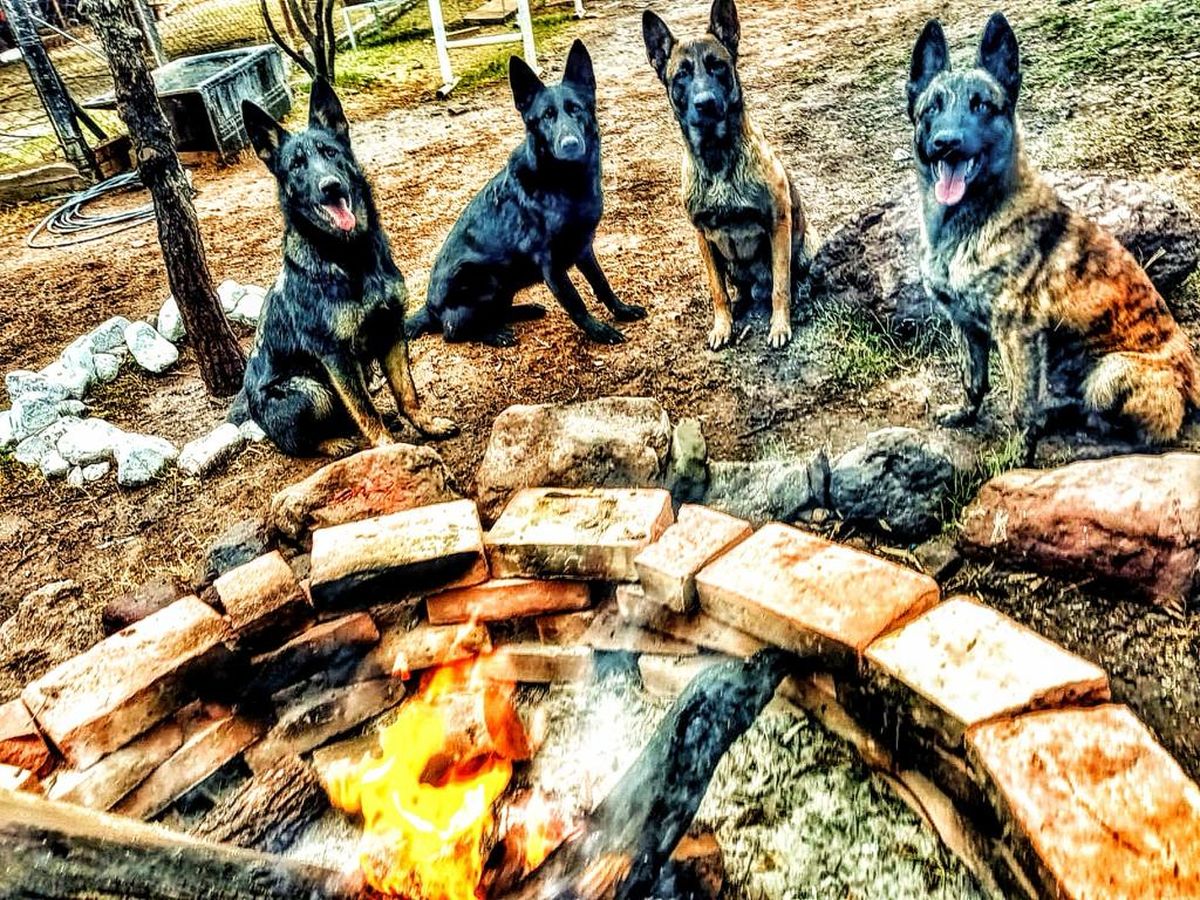 Cómo manejar una catástrofe según Javier Catoni, especialista mundial ...