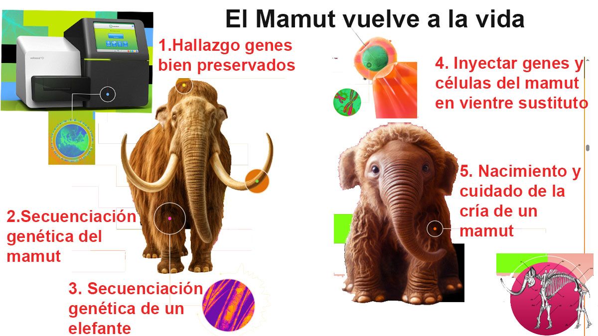 ¿Regresan los mamuts? El avance que podría volver a la vida al mamífero ...