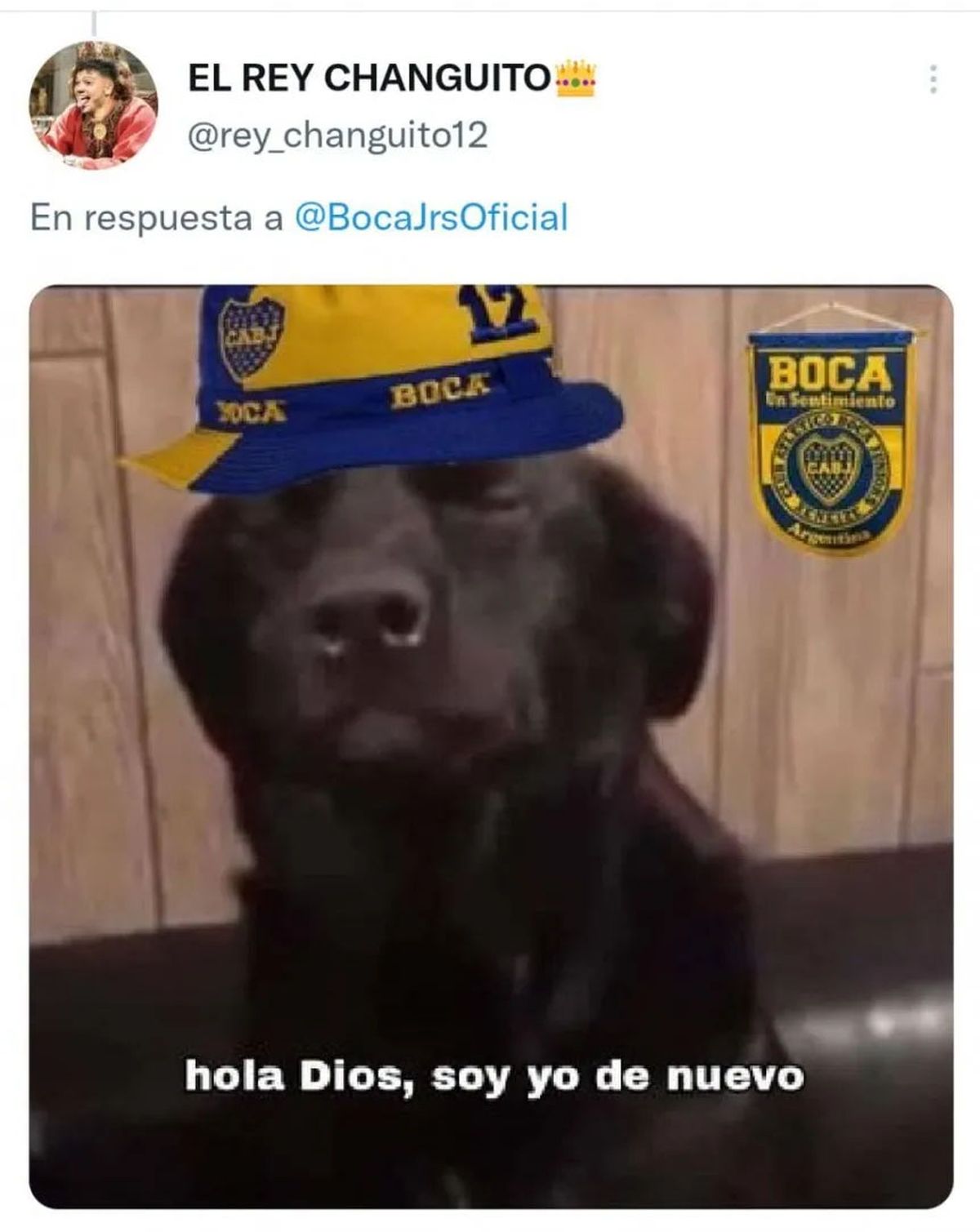 Boca, campeón de la Liga Profesional: los mejores memes y reacciones