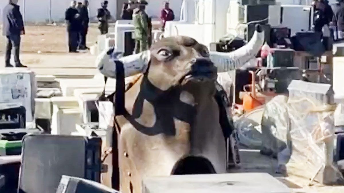 Descubren una puerta secreta en la cárcel de Ciudad Juárez, base del ...
