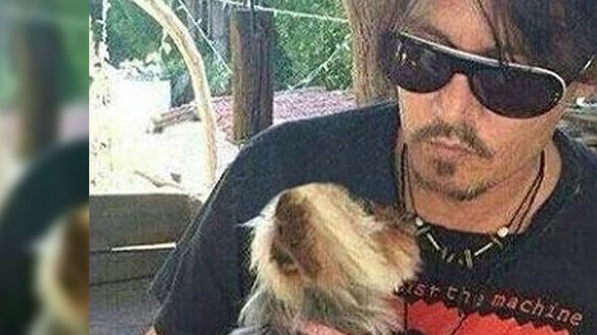 Johnny Depp se va de Australia para salvar la vida de sus perros