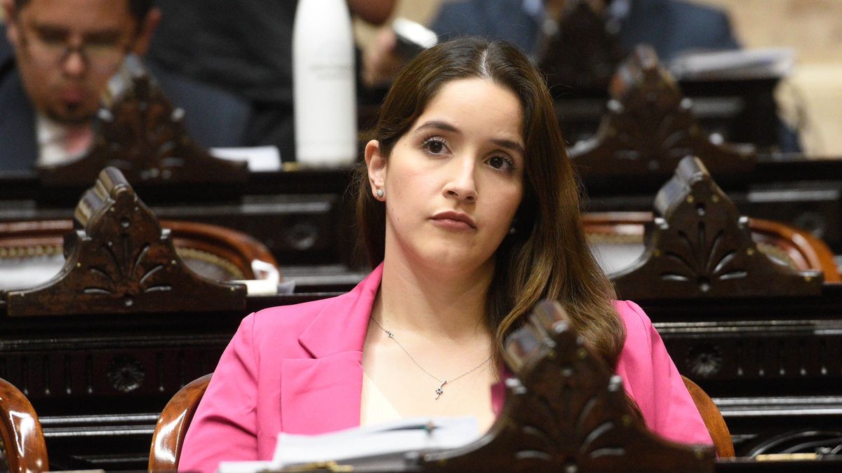 Derogación del Aborto legal: todos los detalles de la propuesta oficialista