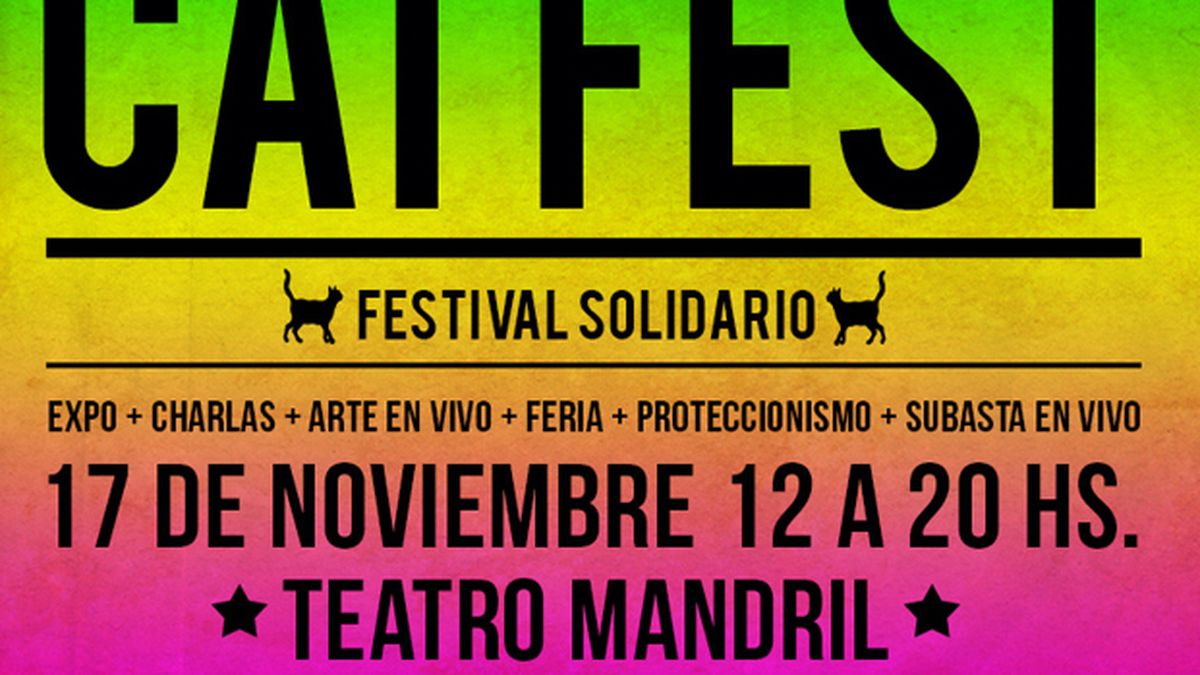 Llega la segunda edición del Cat-Fest, el festival hecho para los animales