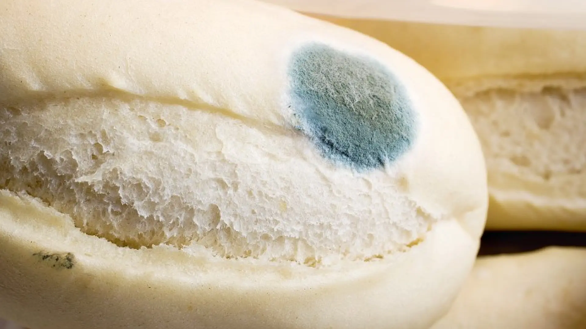 Cómo hacer para que el pan no se mufe ni tenga moho