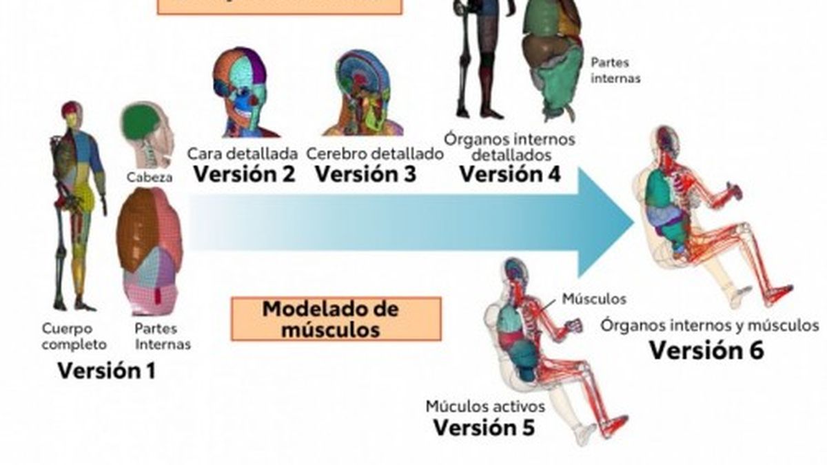 Los ‘dummies’ virtuales (THUMS) de Toyota cumplen 20 años trabajando ...