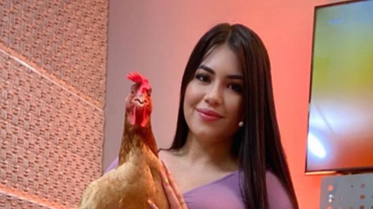 La gallina Hortensia estrena cuenta de Instagram