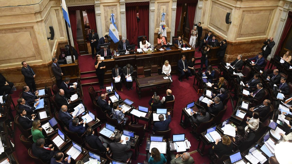 El Senado De La Nación Aprobó Por Unanimidad La Ley Lucio