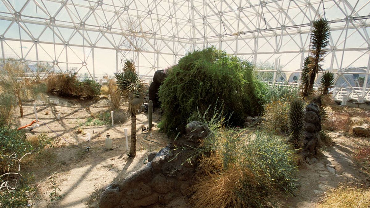 Hambre, robos y peleas: la historia del proyecto para colonizar otros planetas que terminó en ...