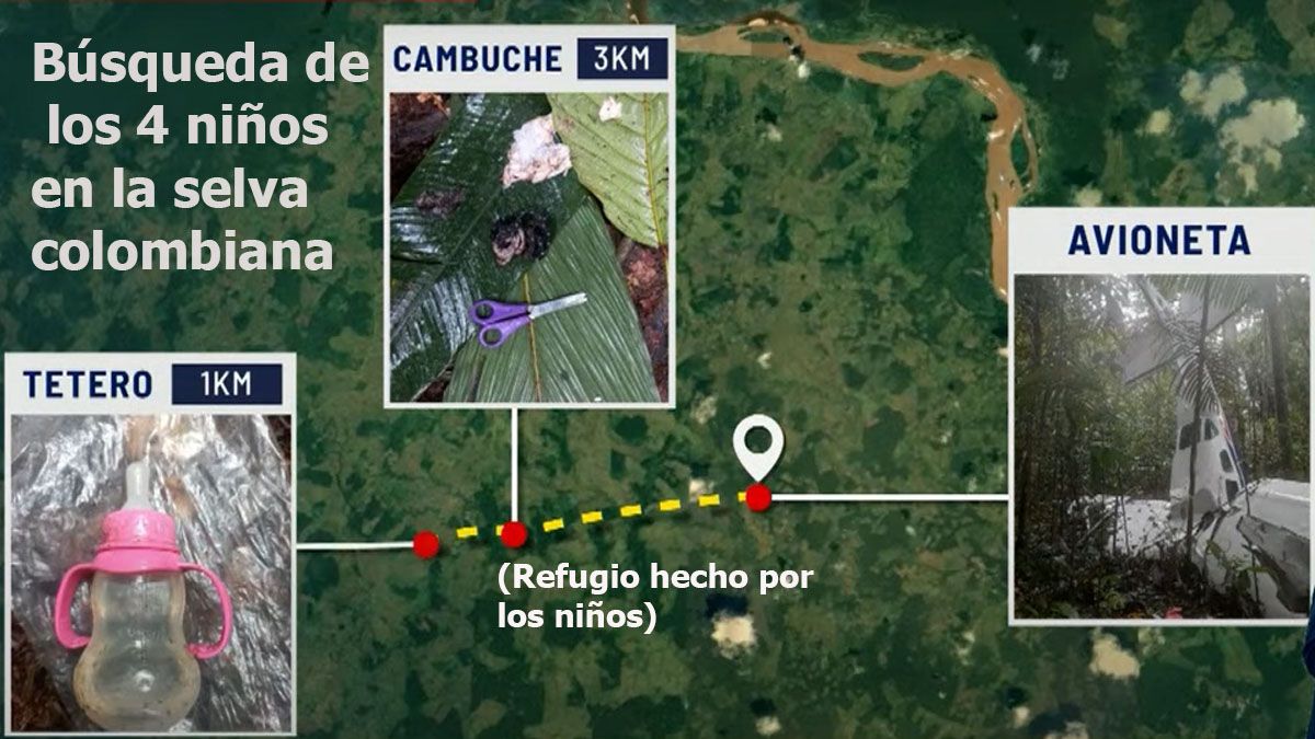 El misterio de los 4 niños rescatados: la caída de una avioneta tiene en vilo a toda Colombia
