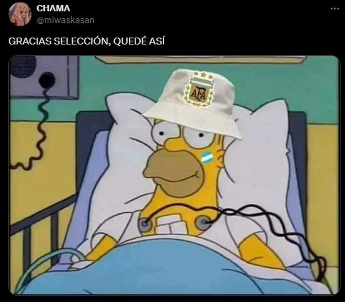 Los mejores memes de la consagración de la Selección Argentina en la ...