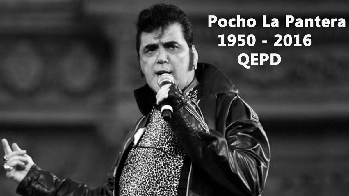 MURIÓ POCHO LA PANTERA