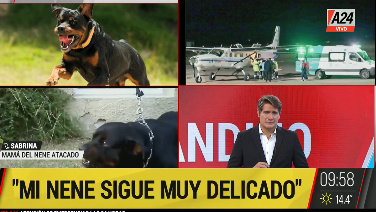 El dramático relato en A24 de la mamá del nene atacado por tres rottweiler