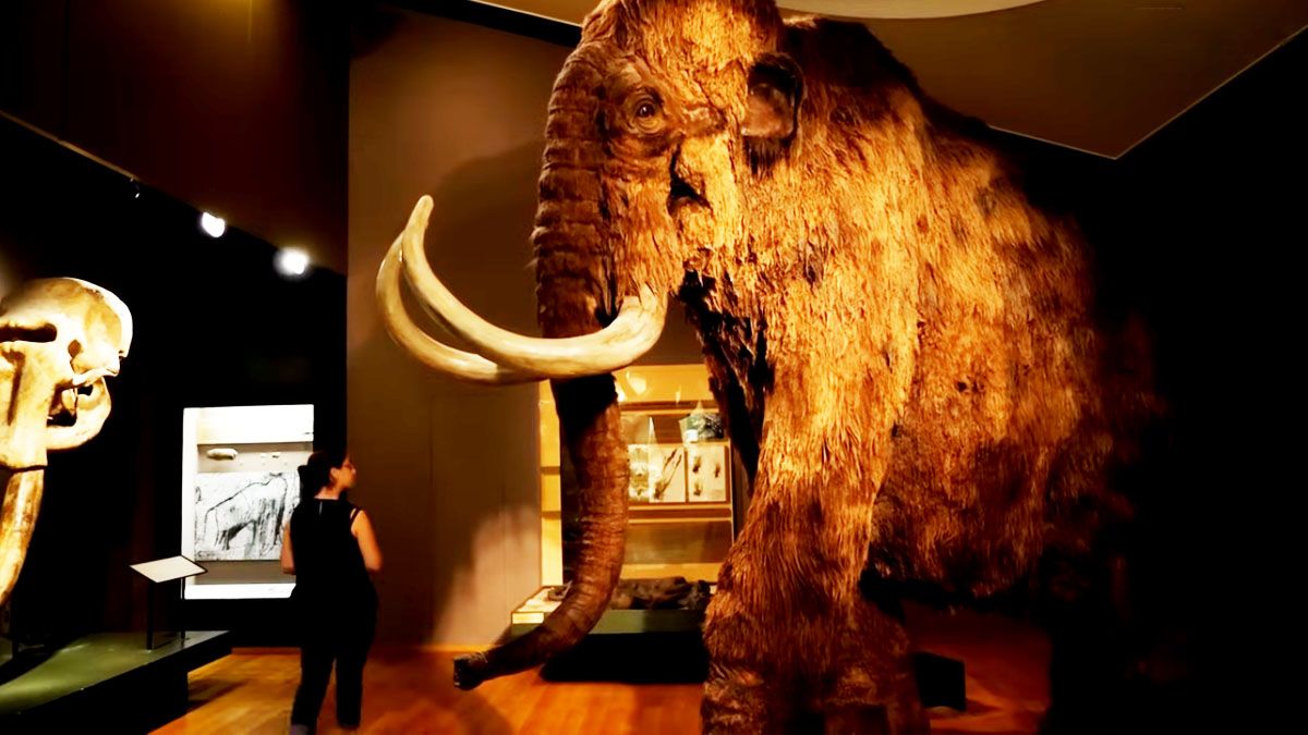 Desextinción y ADN, las claves para la fabulosa aventura de volver a la ...