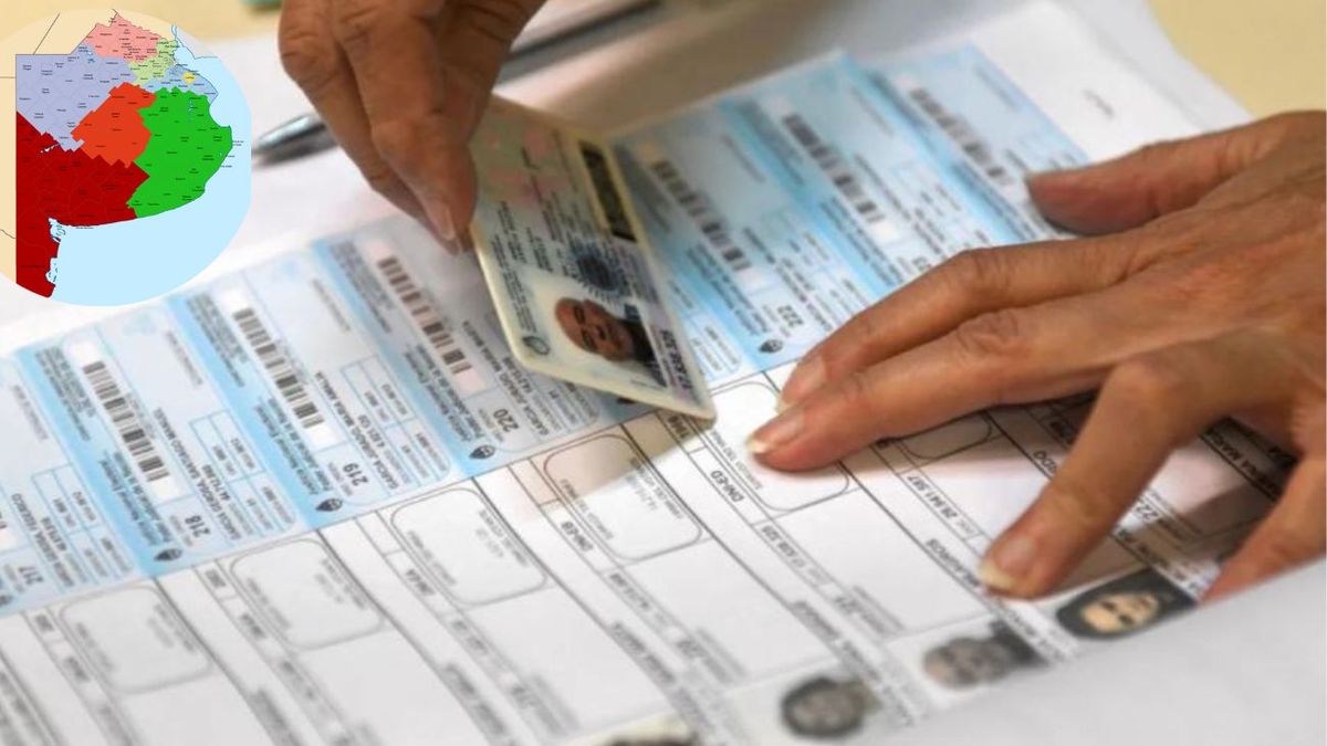 Elecciones 2025 en la provincia de Buenos Aires: qué servicios son ...